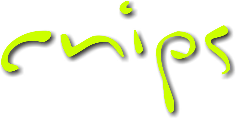 Andreas Rádi - CNIPS webdesign